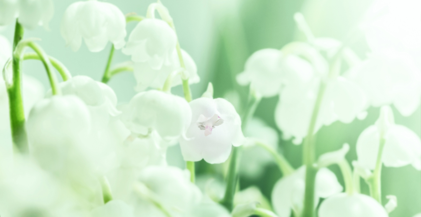 Lyral | The Fragrance Conservatory